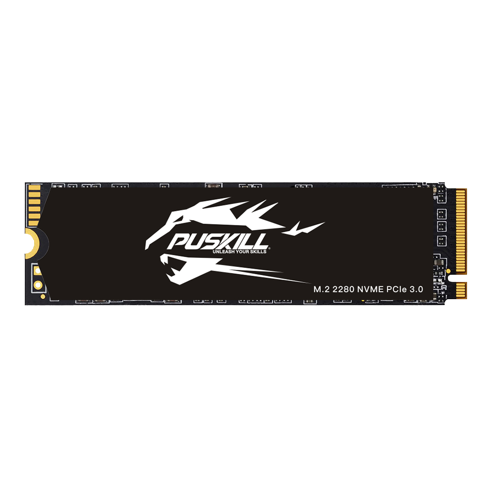 PUSKILL NVME GEN3 128GB - JTS dz